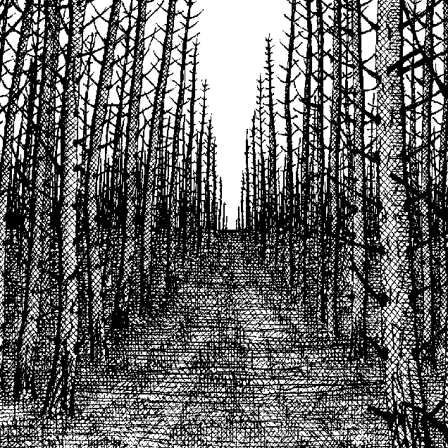 Adam Scovell, Drew Mulholland, Ness and A Haunting Strip of Marshland ...