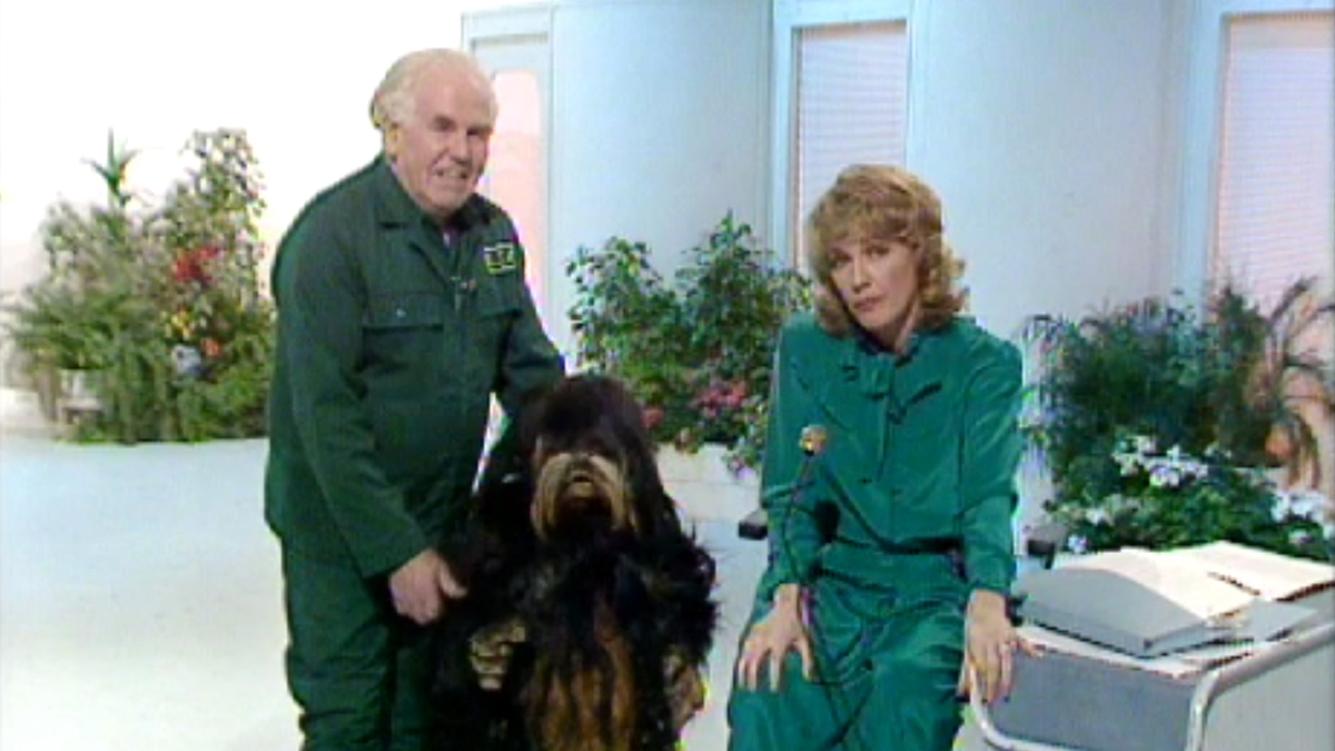 On The Trail Of The Lirpa Loof – The Haunted Generation